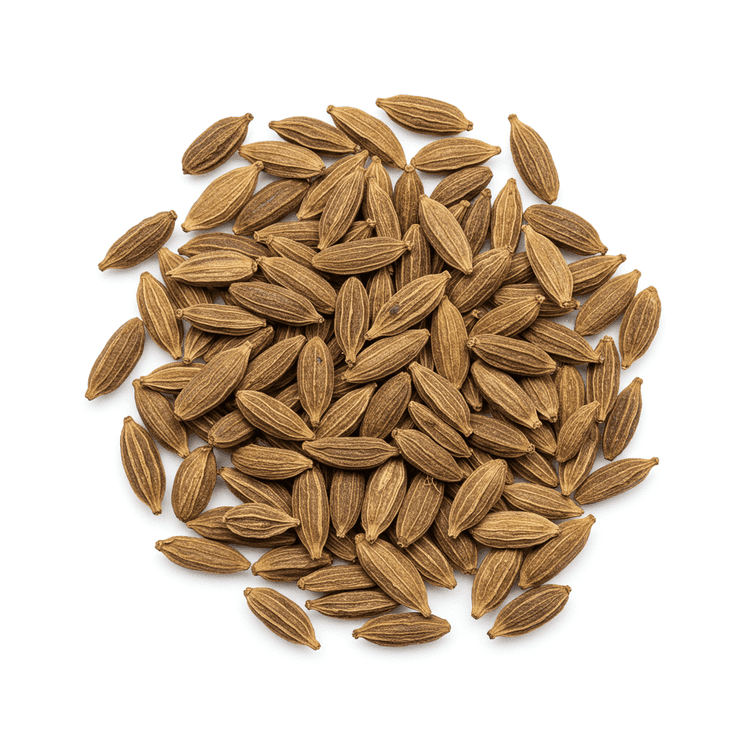 Jeera (Cumin): Benefits & Uses for Health | Nutrition | Chefadora