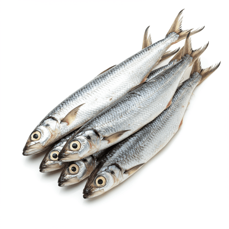 Snoek Fish: Nutrition, Benefits & Recipes | [Your Site Name] | Chefadora