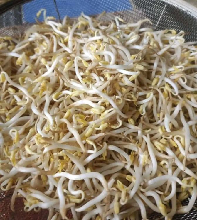 Easy Sauted Toge with Tofu _ Filipino style recipe