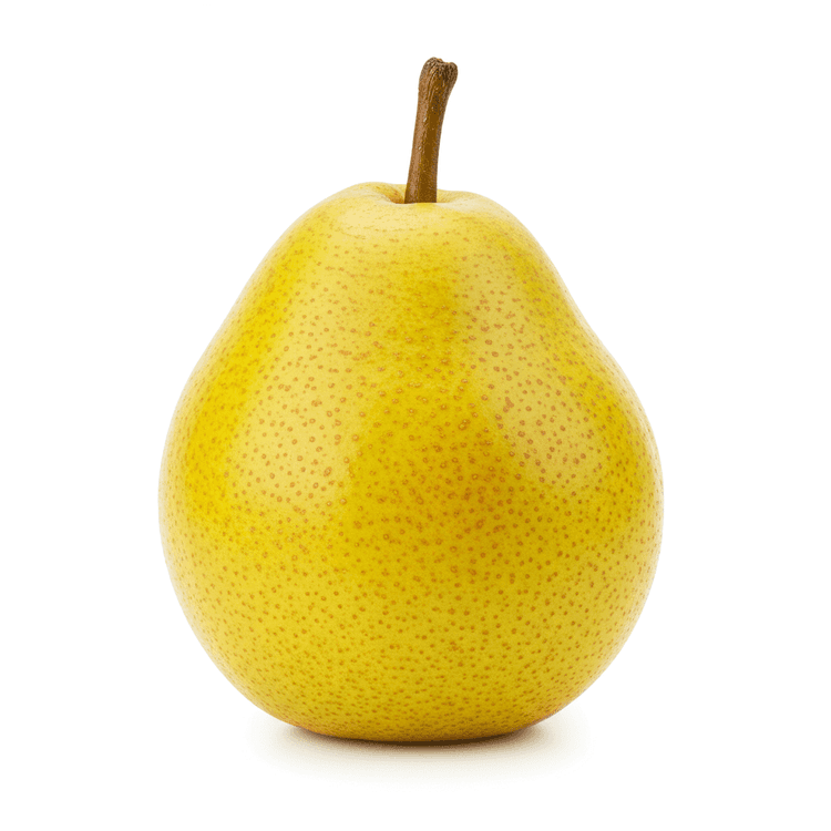 Anjou Pear: Nutrition & Health Benefits | Healthy Recipes