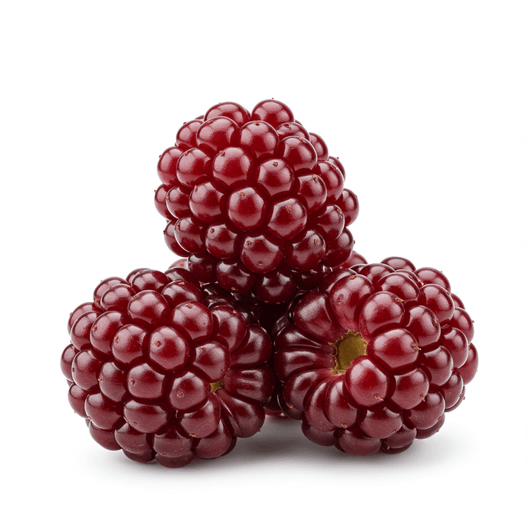 Loganberry: Benefits, Recipes & Nutritional Value
