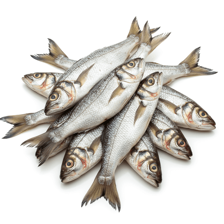 Surimi: Protein-Packed Seafood Alternative