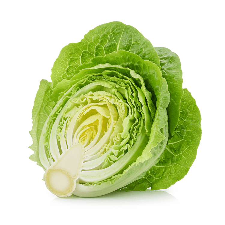 Cos Lettuce: Benefits & Recipes | Healthy Eating