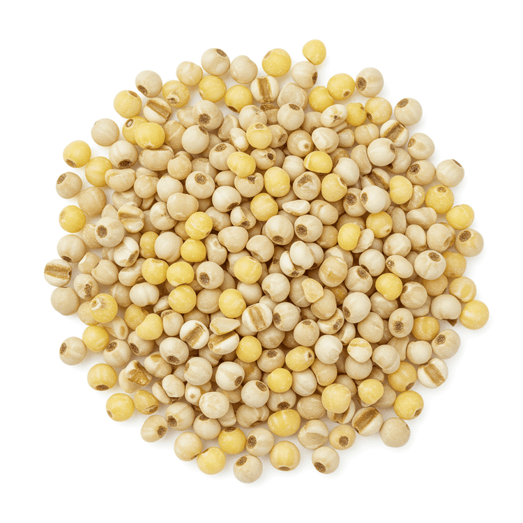 Guinea Corn: Health Benefits & Uses | Nutrition Guide