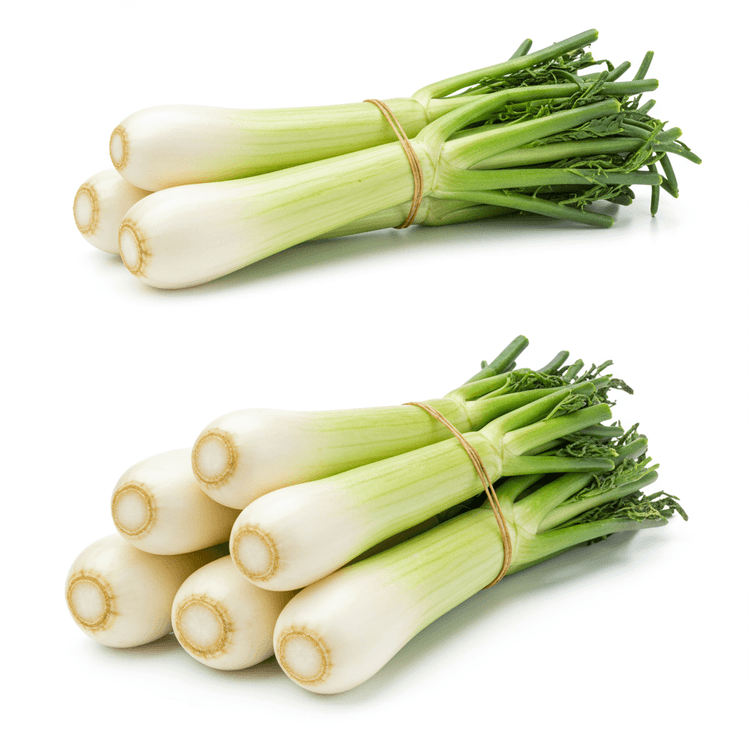 Mooli (Radish) Benefits & Uses | Healthy Recipes