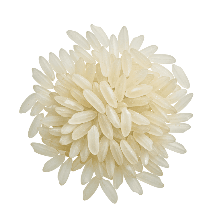 Carnaroli Rice: Benefits & Recipes | Italian Rice