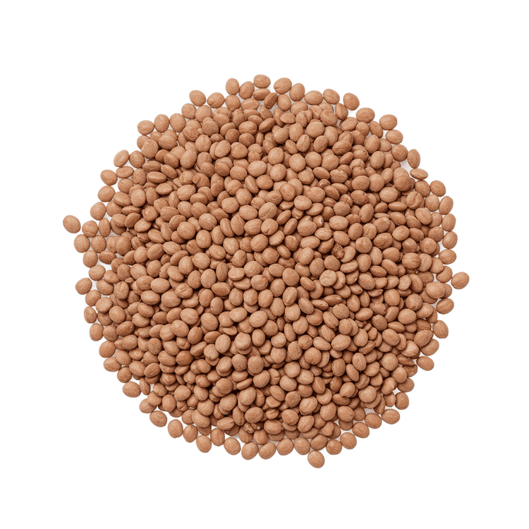 Teff: Superfood Grain Benefits & Recipes