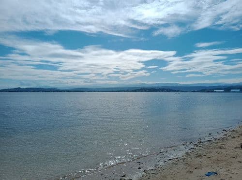 Pinangat Na Isda (Pangat)- Fish soup Recipe